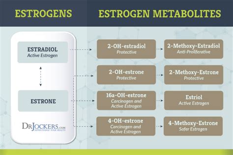 The Dutch Complete Hormone Panel