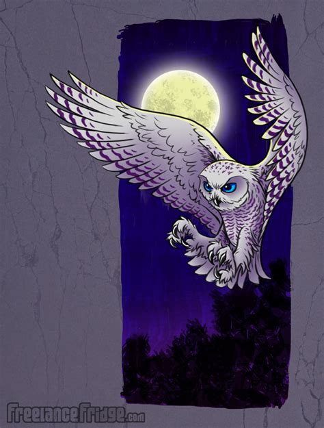 Snowy Owl Illustration Freelance Fridge Illustration And Character