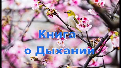 Книга о дыхании - YouTube