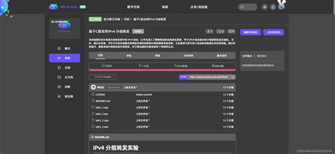 基于c语言的ipv4 分组转发ipv4分组转发c语言 Csdn博客