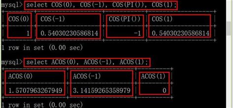 Mysql Mysql