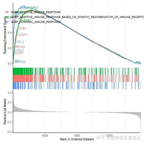 Gsea富集分析可视化 知乎