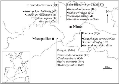 Figure 1 From Analysis Of Microsatellite Variation In The Spider Mite Pest Tetranychus