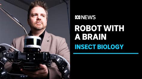 Scientists Delve Into Insect Biology To Build Robots With A Brain Abc