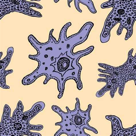 Premium Vector Pattern Of The Decorative Amoebas