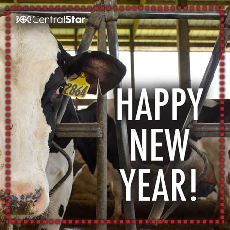 Centralstar Cooperative Inc Posted On Linkedin