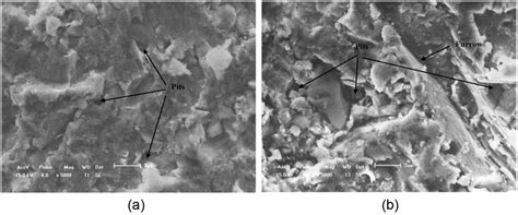Coating Surface Microstructure After Erosion With Different Mass Download Scientific Diagram
