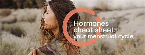 Hormone Cheat Sheet Menstrual Cycle Menstruation Handb