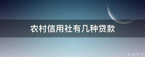 农村信用社有几种贷款 业百科