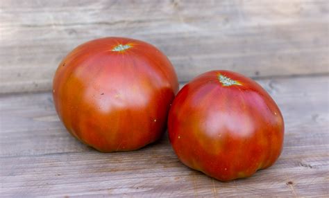 КЛЕНОВЫЙ СИРОП Le Sirop Derable — Btomate