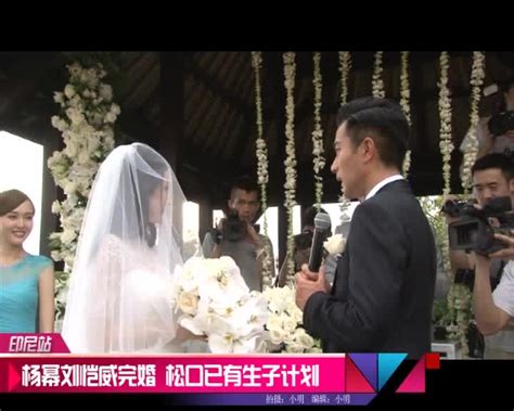 杨幂刘恺威巴厘岛完婚 新娘松口已有生子计划 搜狐视频
