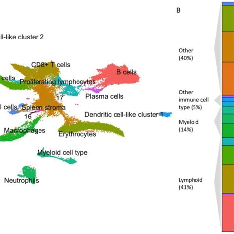 Unsupervised Clustering Of 56994 Atlantic Cod Splenic Cells Reveals A Download Scientific