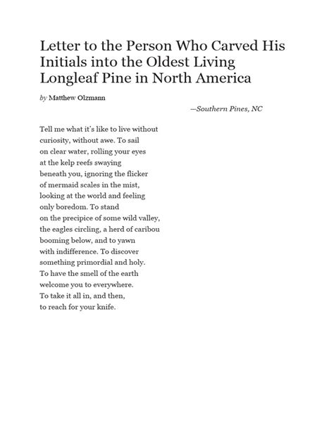 Letter To The Person Who Carved His Initials Into The Oldest Living