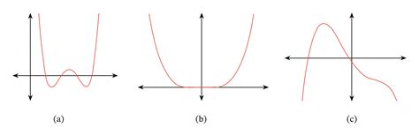 Basics Of Polynomial Functions 11th Grade Quiz Quizizz