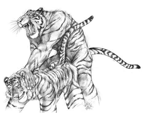 Rule 34 Anal Anal Sex Barbs Blotch Cum Feline Feline Penis Furry