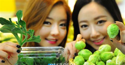 [포토]홈플러스 아이스플랜트 미니양배추 4