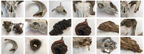 Intaglio Dry Point Etching On Acetate May Judson