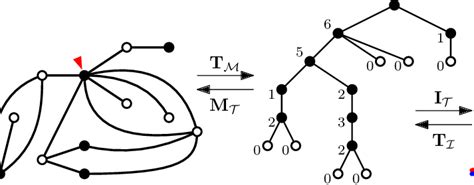 Our Bijections Between Bipartite Planar Maps Degree Trees And New