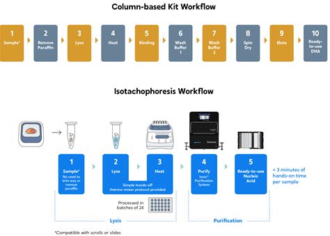 Ionic® System For Nucleic Acid Purification Bionano