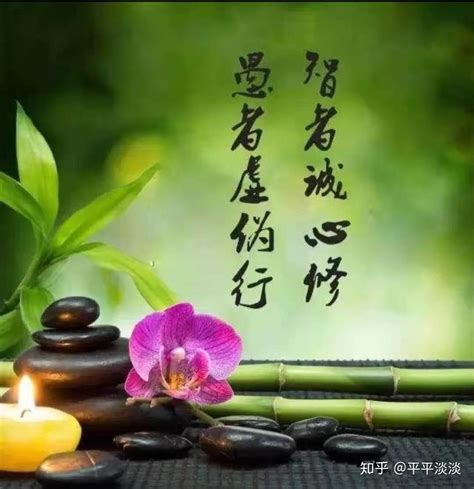 愚痴的人造恶业终有恶报 知乎