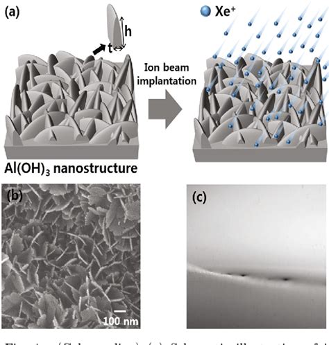Figure 1 From Wettability Conversion Of An Aluminum Hydroxide Nanostructure By Ion Implantation