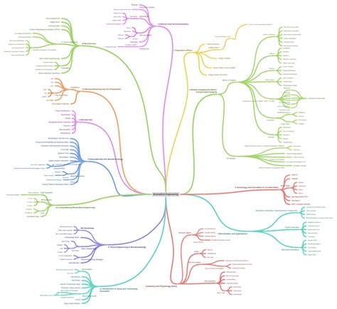 Biomedical Engineering Coggle Diagram