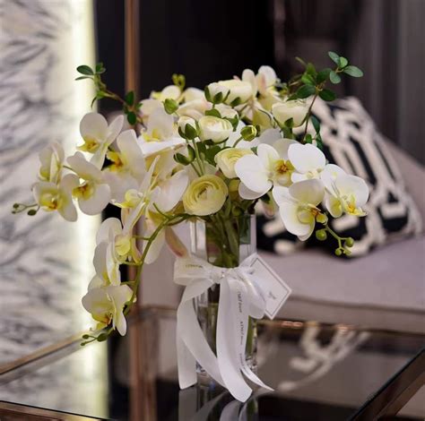 Phalaenopsis Orchid Vase Atmodecor