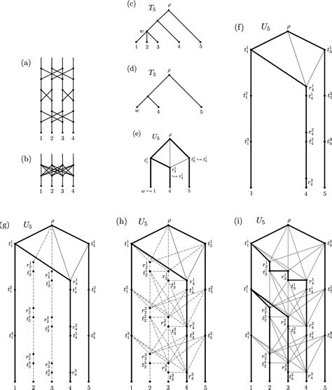 Figure 1 From Non Binary Universal Tree Based Networks Semantic Scholar