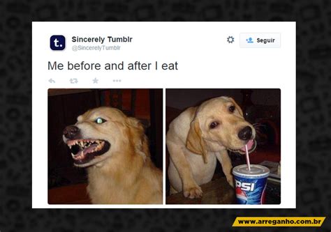 Os 9 Melhores Memes Da Semana No Twitter Arreganho