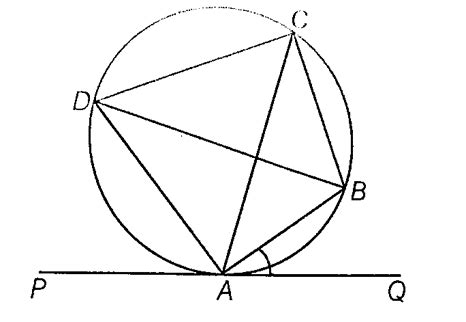 CIRCLE CLASS ICSE NOTES Education World