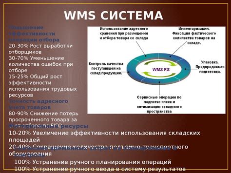 Совершенствование организации складской логистической системы компании