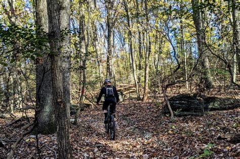 Best Parks In York County Pa Hiking Scenic Views And More
