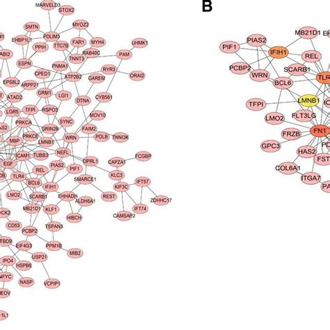 Pi3kakt Signaling Pathway Red Represents The Hub Genes We Identified