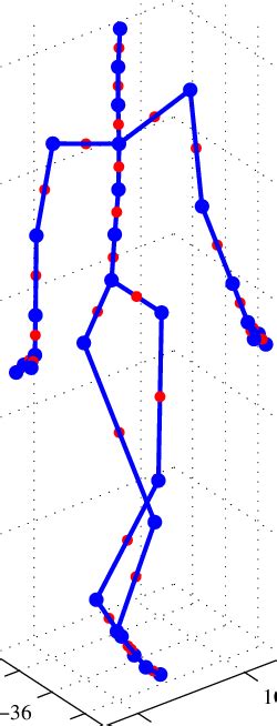 This Is A Wire Frame Model Of A Human Subject Extracted From The MOCAP Download Scientific
