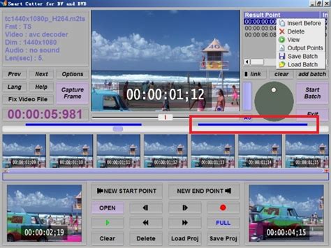 Frame Accurate H 264 AVCHD Editor Without Re Encoding