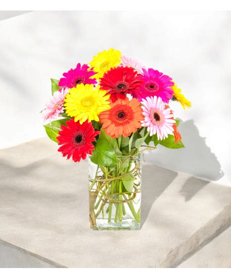Gerbera Daisies Same Day Portsmouth Nh Flower Delivery