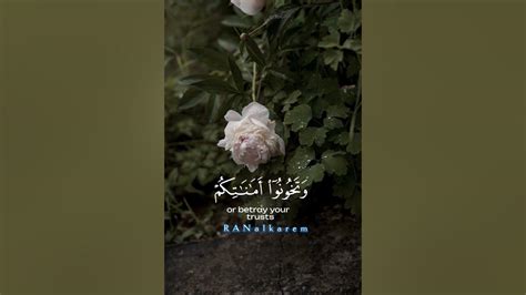{ يا ايها الذين امنوا لا تخونوا الله والرسول وتخونوا اماناتكم } تلاوة