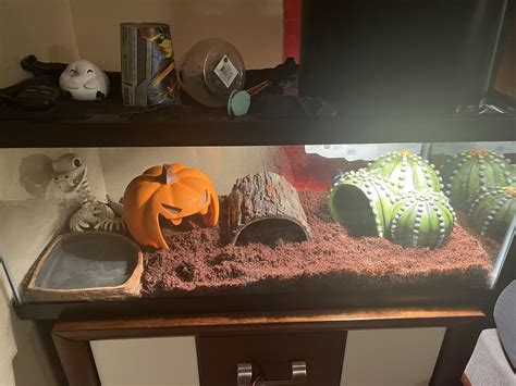 fixed the bedding but now the temperature is off more in comments r