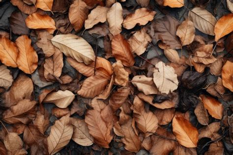 Premium Photo Natures Floor The Rustling Symphony Of Dry Leaves And Branches