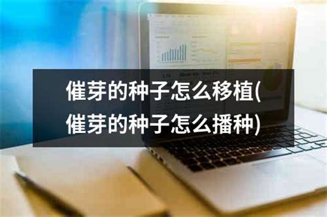 催芽后的种子如何种植 催芽后的种子如何种植视频 养花经验