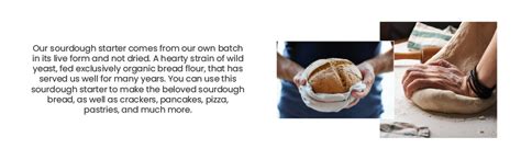 Breadtopia Sourdough Starter Live Made From Organic And Non Gmo