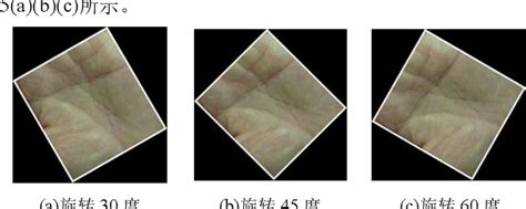 Figure From Color Palmprint Feature Recognition Algorithm Based On