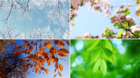 The Seasons Of Our Cycle How To Go With The Flow Throughout The Month