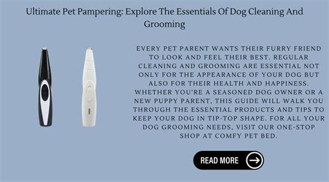 Ultimate Pet Pampering Explore The Essentials Of Dog Cleaning And Gro