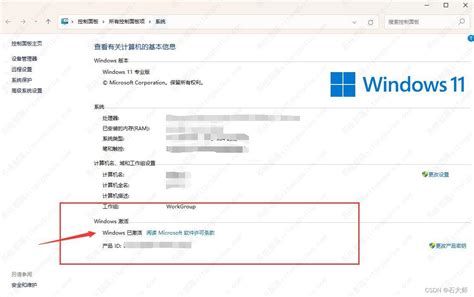 Win11判断系统是否已激活的方法怎么查看windows11是否永久激活 Csdn博客