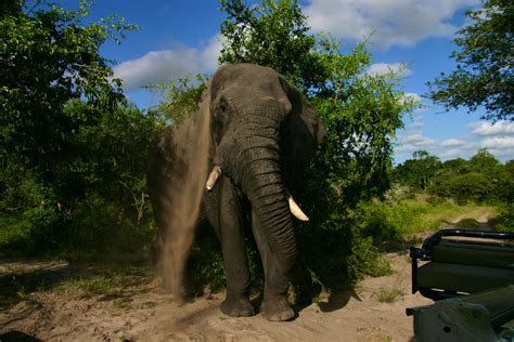 Ndumo Game Reserve Accommodation Lekkeslaap