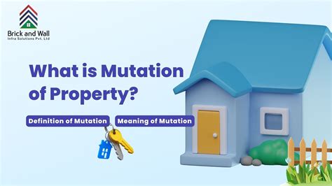 Mutation Of Property Definition Meaning Of Mutation