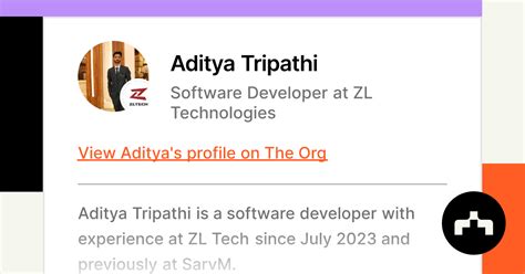 Aditya Tripathi Software Developer At Zl Technologies The Org