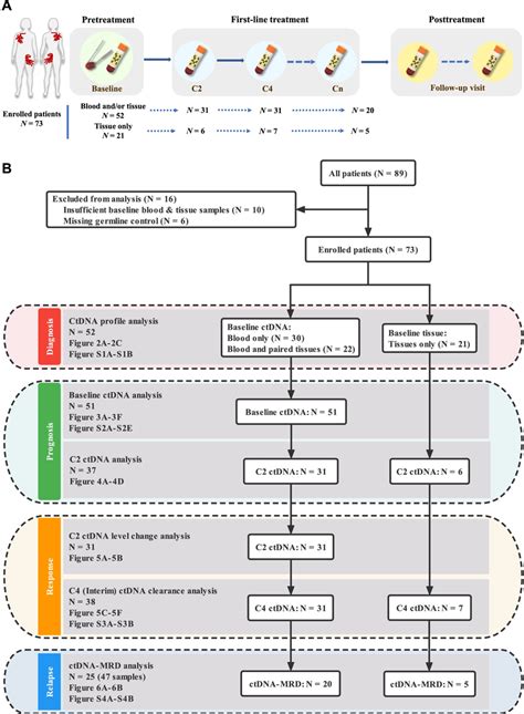 Sample Collection And Analysis Flow Chart A Sample Collection Scheme Download Scientific