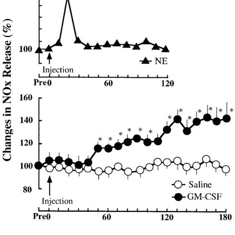 Locomotor Activity After The Local Injection Of Gm Csf Into The